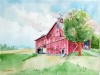 Spring Barn - Mike Prout